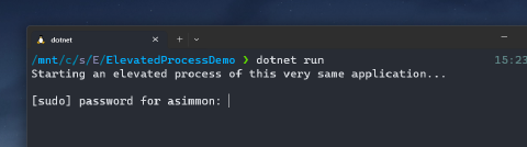 Programmatically elevate a .NET application on any platform